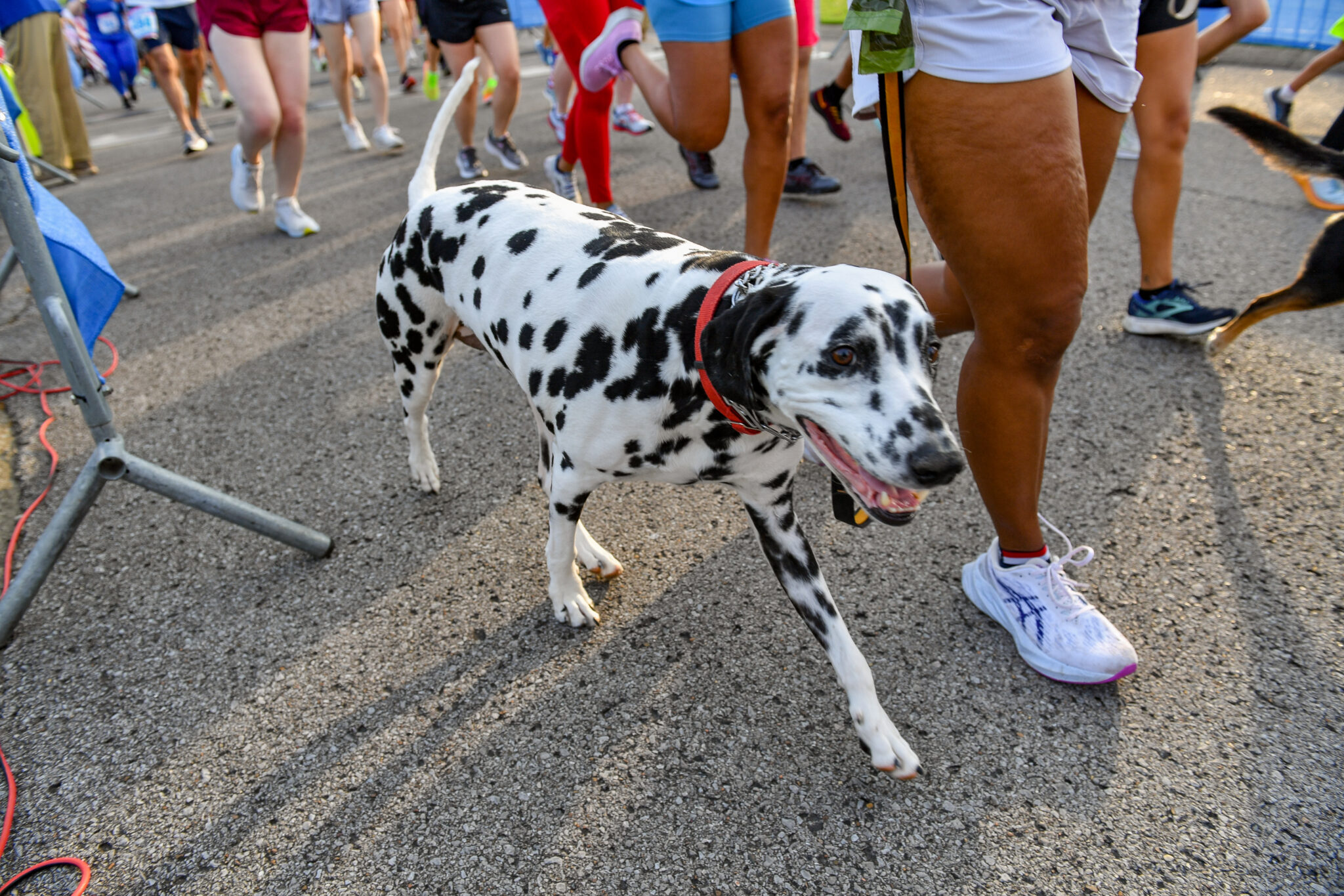 Music City July 4th 5K - Run Nash